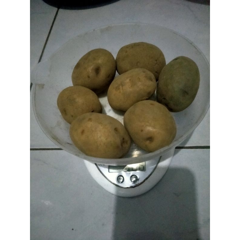 Jual kentang dieng kecil ukuran 500g | Shopee Indonesia