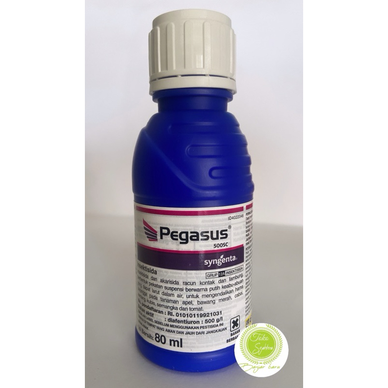Jual insektisida Pegasus 500SC 80ml | Shopee Indonesia