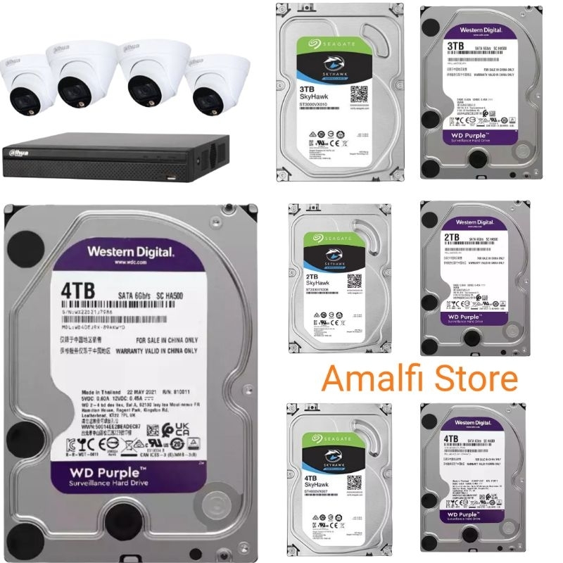 Jual Hardisk Cctv 4TB/6TB/8TB/10TB WD Purple/Skyhawk Surveillance For ...