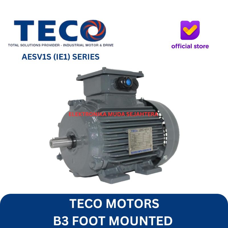 Jual TECO Dinamo Elektro Motor 3KW 4HP 3 Phase 220/380V 50HZ B3 Foot Mounted | Shopee Indonesia