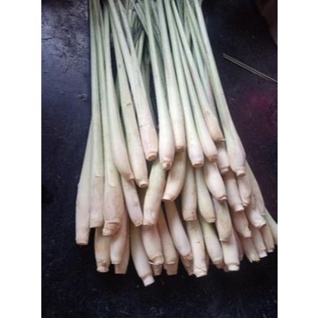 Jual Sereh Serai 500 gr Serai rempah dapur masak Bersih Sereh Daun ...