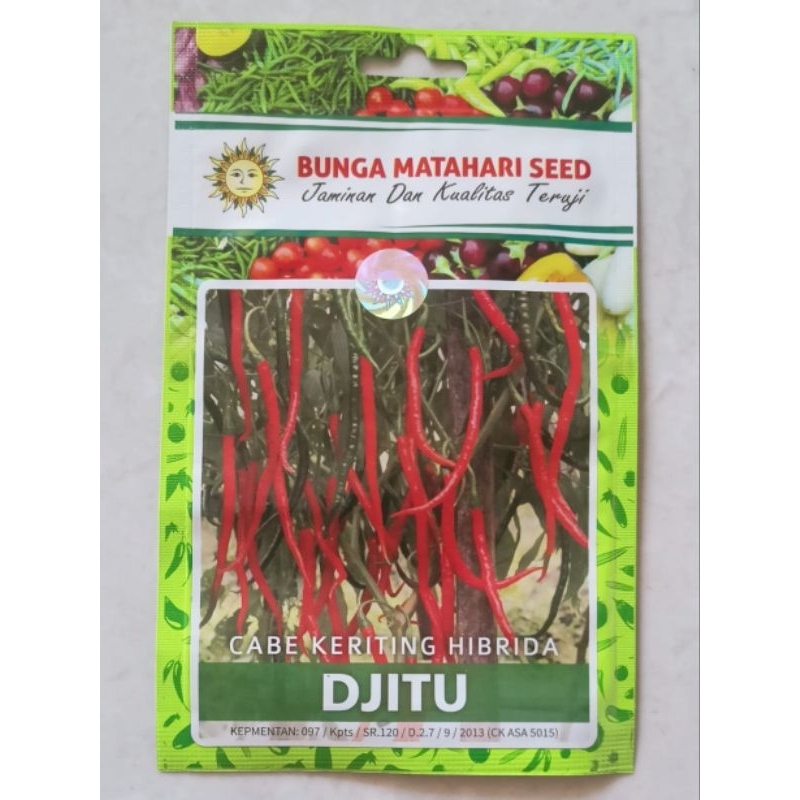 Jual 50 BUTIR BENIH CABE KERITING HIBRIDA DJITU_BUNGA MATAHARI | Shopee ... Jual 50 BUTIR BENIH CABE KERITING HIBRIDA DJITU_BUNGA MATAHARI | Shopee ...