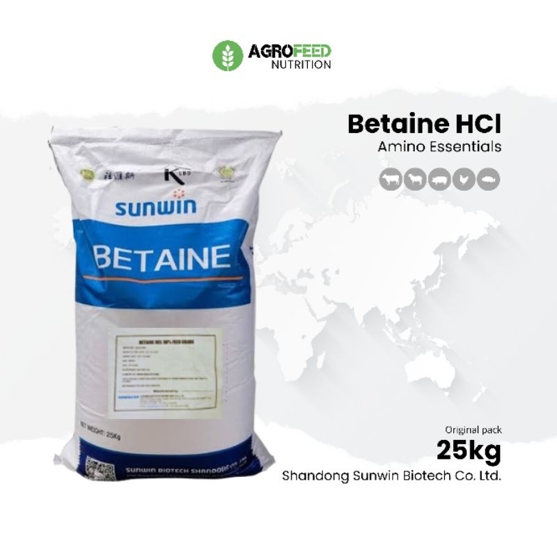 Jual BETAINE HCl 25kg Growth Factor Amino Atractant Pakan Hewan Ternak ...