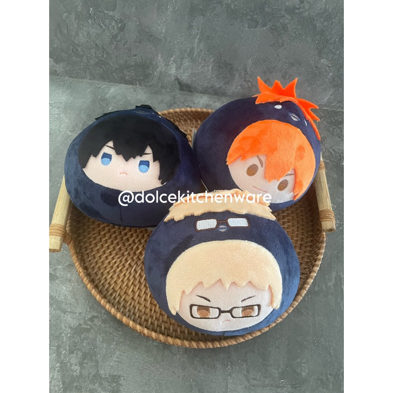 Jual Haikyuu Karasuno Gugugugu Series Medium Mascot Plush 15 cm Hinata ...