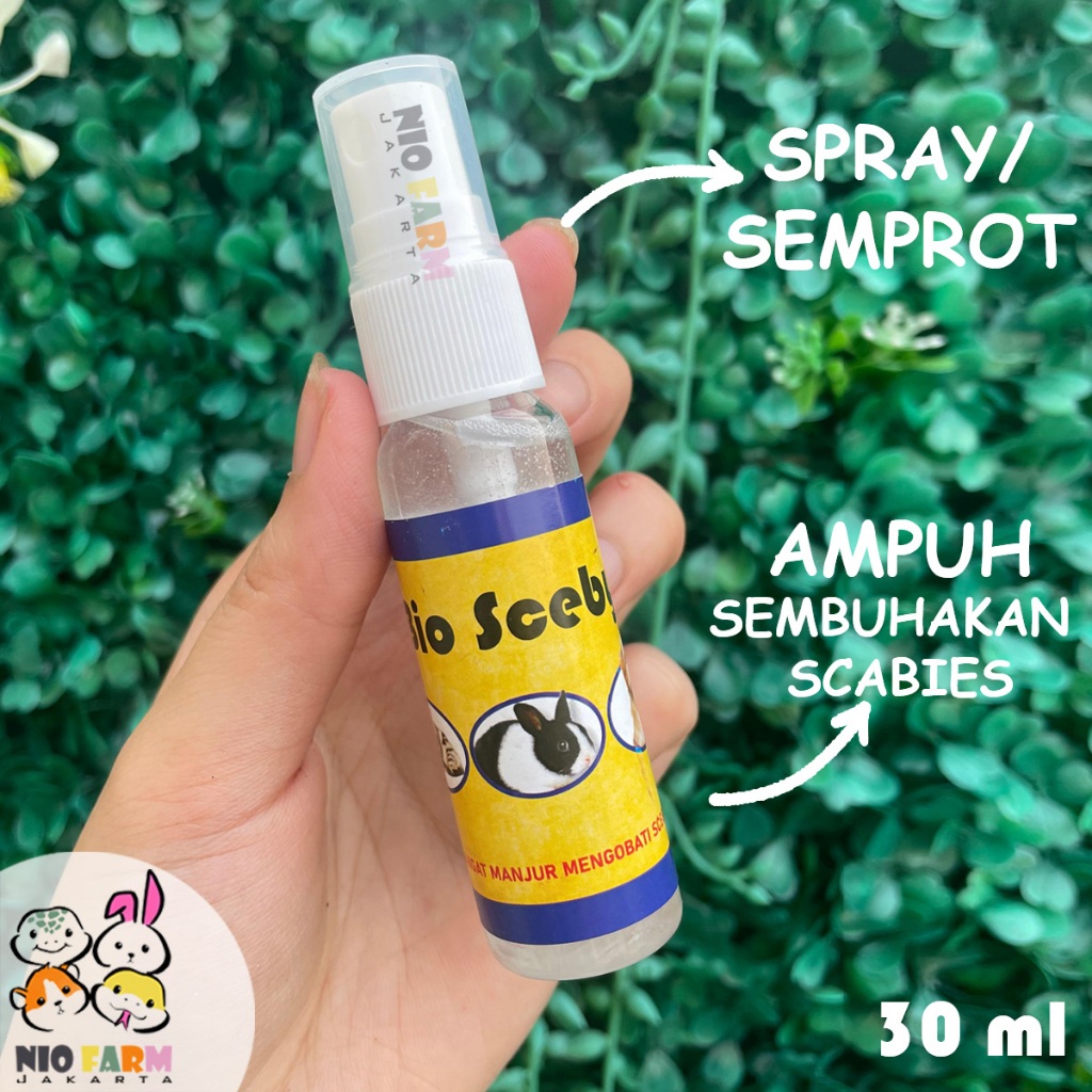 Jual BIO SCEBY - 30 ml / Obat Semprot Scabies / Obat Gatal Obat Scabies ...