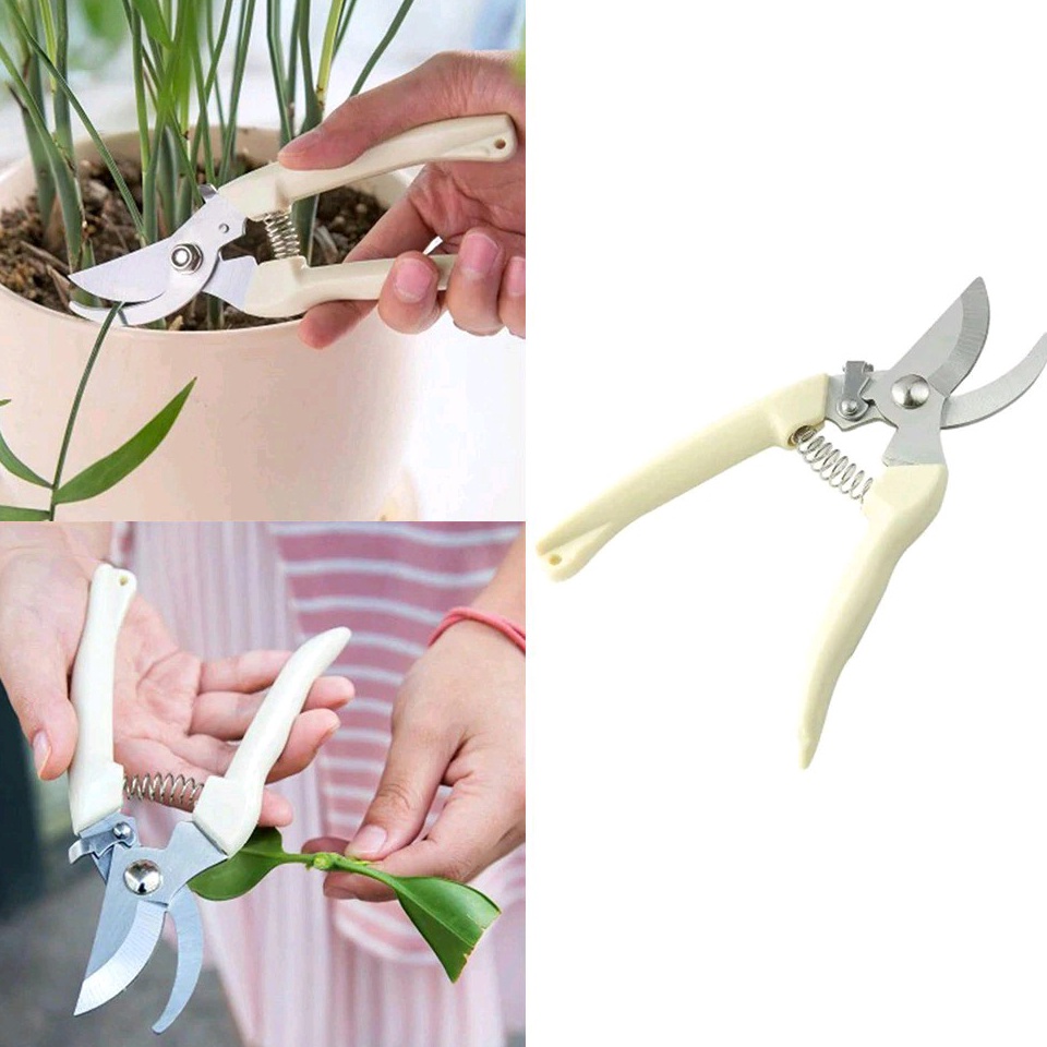 Jual Banyak Dibeli GUNTING DAHAN RANTING PRUNING ALAT POTONG DAHAN ...