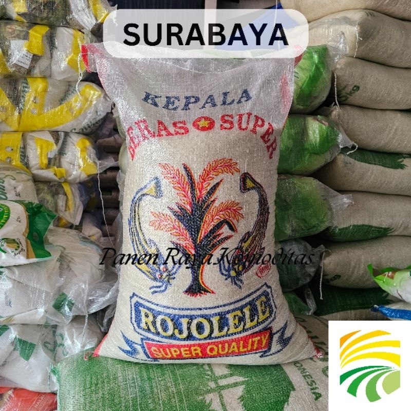 Jual Beras Raja Lele 25kg Kualitas Baik | Shopee Indonesia