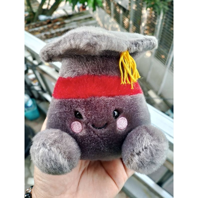 Jual Boneka Palm Pals Graduation Celebrate PalmPals Wisuda | Shopee ...