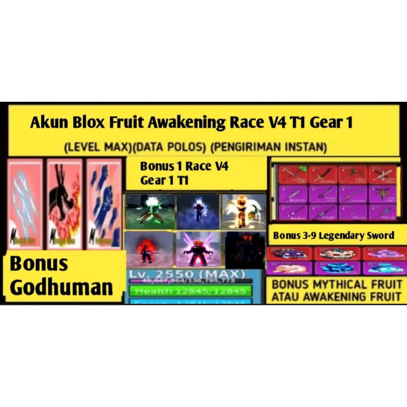 Jual Akun Blox Fruit Awakening Race V4 T1 (Gear 1) (LEVELMAX) (DATPOL ...