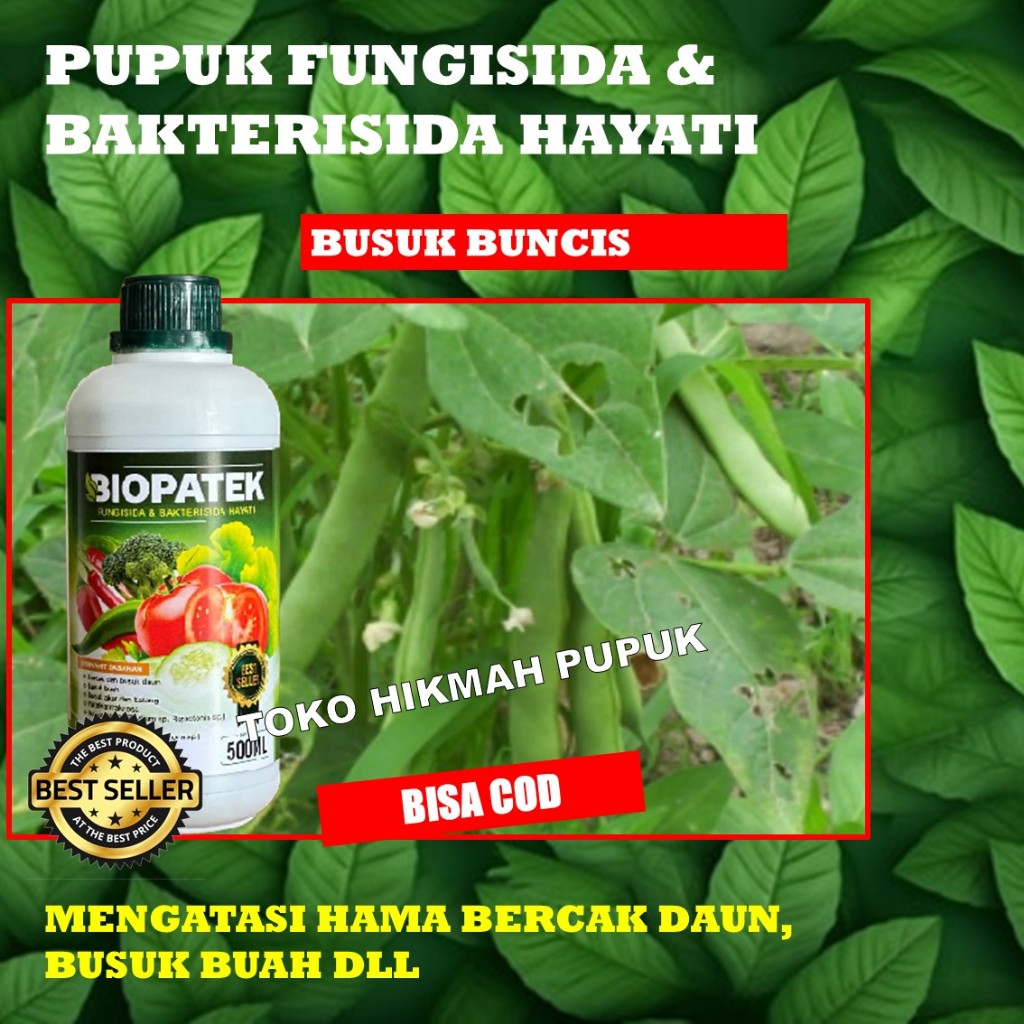 Jual (REKOMENDED) BIOPATEK FUNGISIDA HAYATI Obat Busuk Buah Pada Buncis ...
