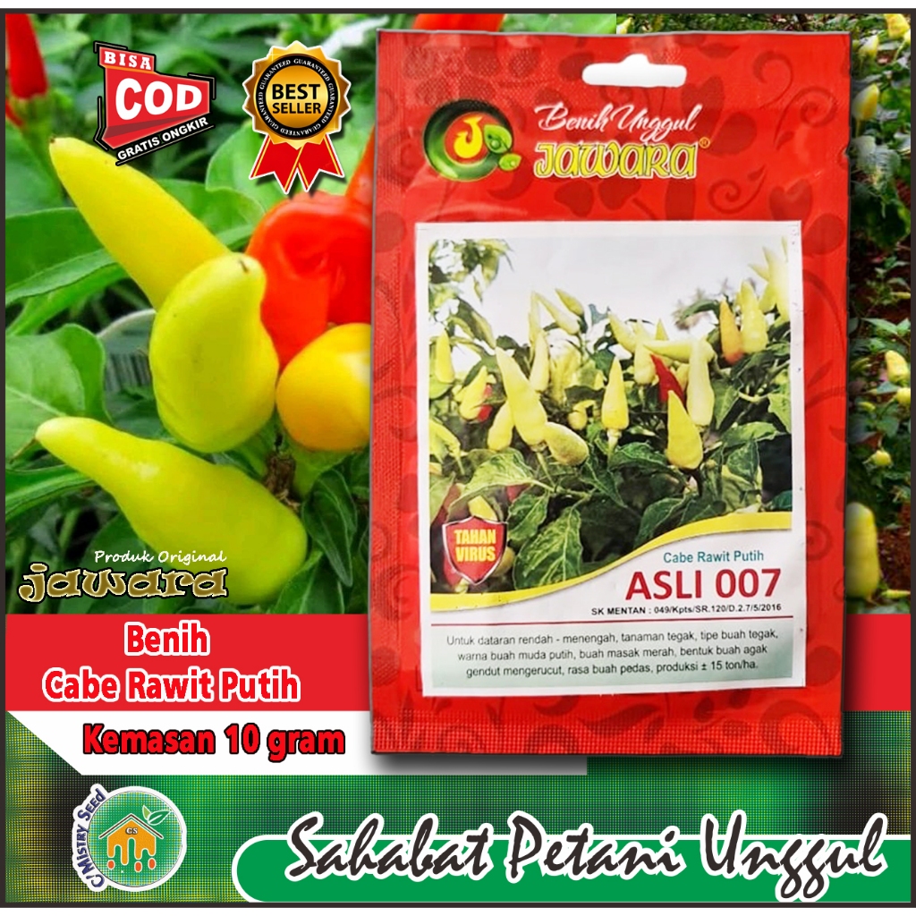 Jual Benih Cabe Rawit Hijau ASLI 007 JAWARA | Isi 10 gram ±1740 Biji ...