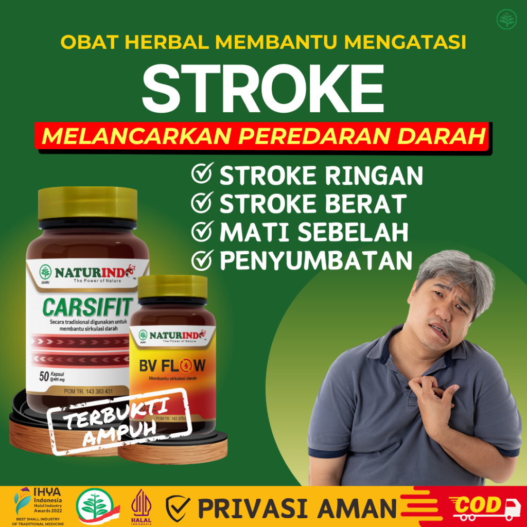 Jual Obat Stroke Ringan Berat Mati Sebelah Gejala Struk Strok Herbal ...