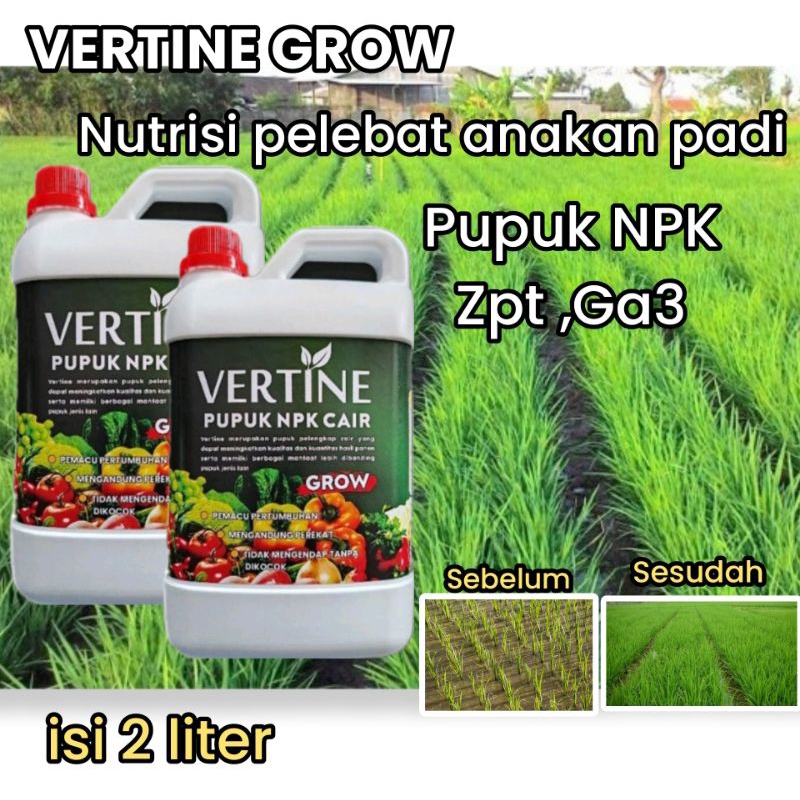 Jual Vertine Grow 2 Liter Pupuk Pelebat Anakan Padi | Shopee Indonesia