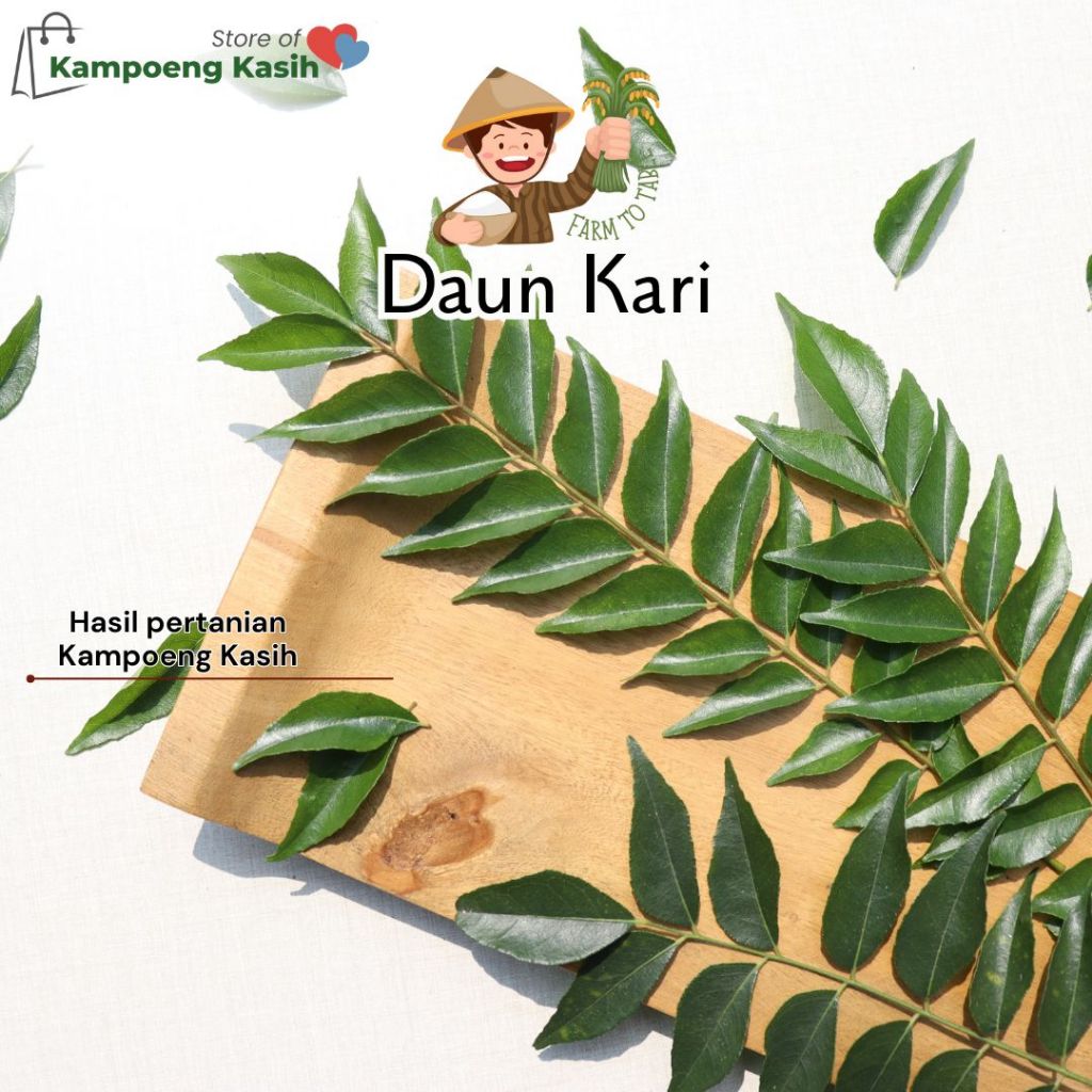 Jual Daun Kari / Salam Koja / 100 Gram / Bumbu Rempah | Shopee Indonesia