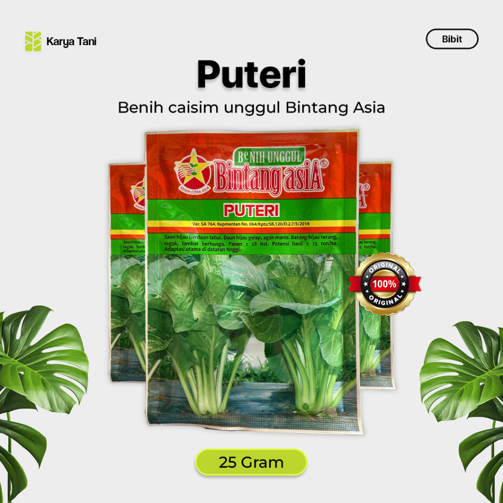 Jual BENIH SAWI HIJAU / CAISIM PUTERI 25 GRAM BINTANG ASIA | Shopee ...