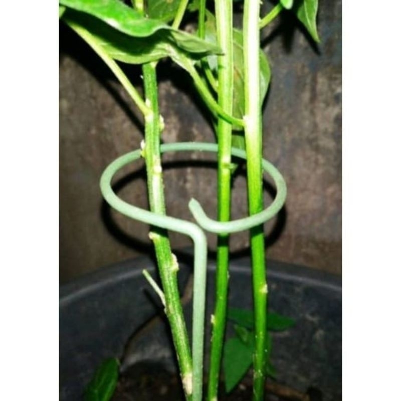 Jual tiang penyangga pohon | Shopee Indonesia