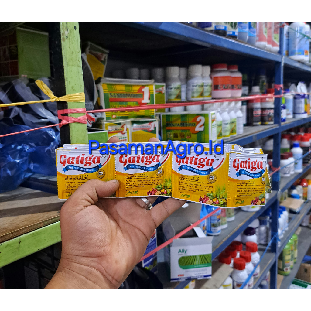 Jual GATIGA 5 WP SACHET ZPT ASAM GIBERELAT - 2 GRAM | Shopee Indonesia