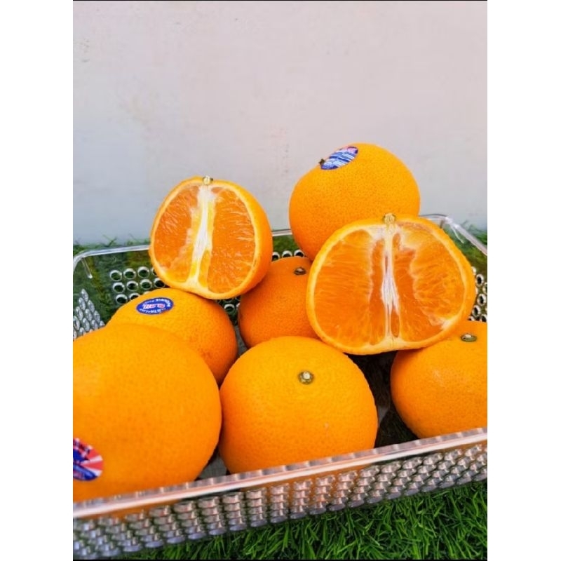 Jual Jeruk Honey Murcott Premium IMPORT Segar dan Berkualitas 500 ...