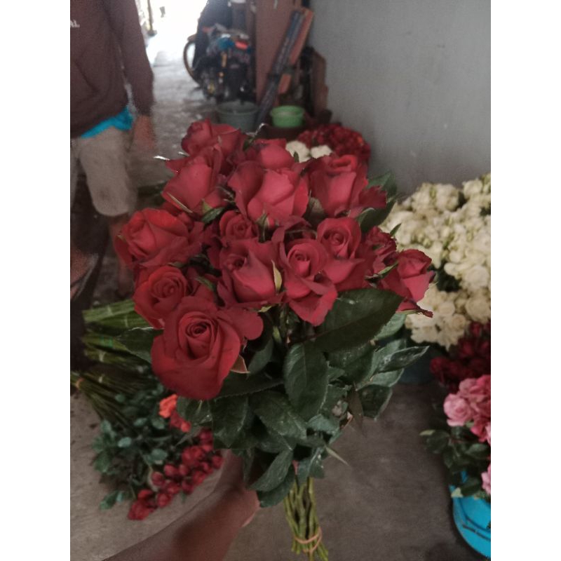 Jual bunga mawar potong isi 12 tangkai (GRADE A) PANJANG an | Shopee ...