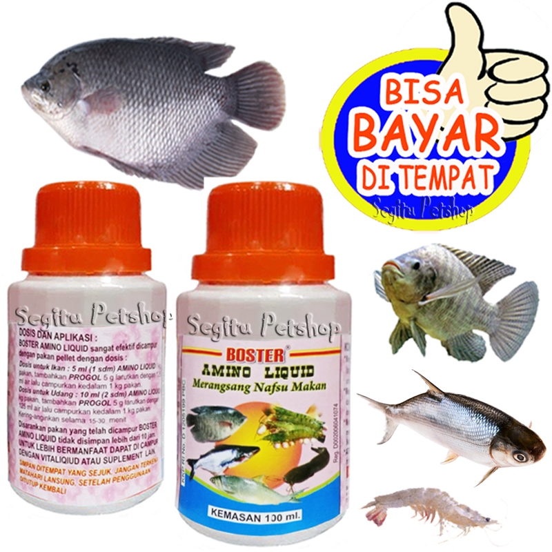 Jual Vitamin Penggemuk Ikan Lele Gurame Koi Nila Mas Lobster Boster Amino Liquid | Shopee Indonesia