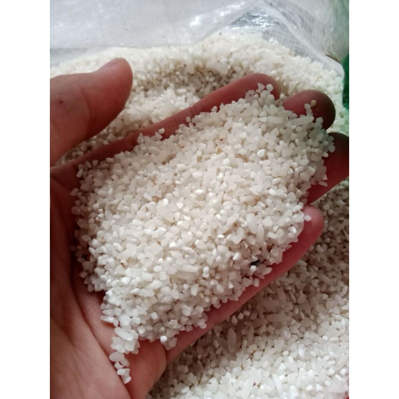 Jual menir 5 kg / 10 kg - menir beras kecil | Shopee Indonesia