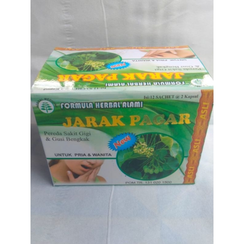 Jual jarak pagar obat sakit gigi isi 12 sachet per sachet 2 kapsul ...