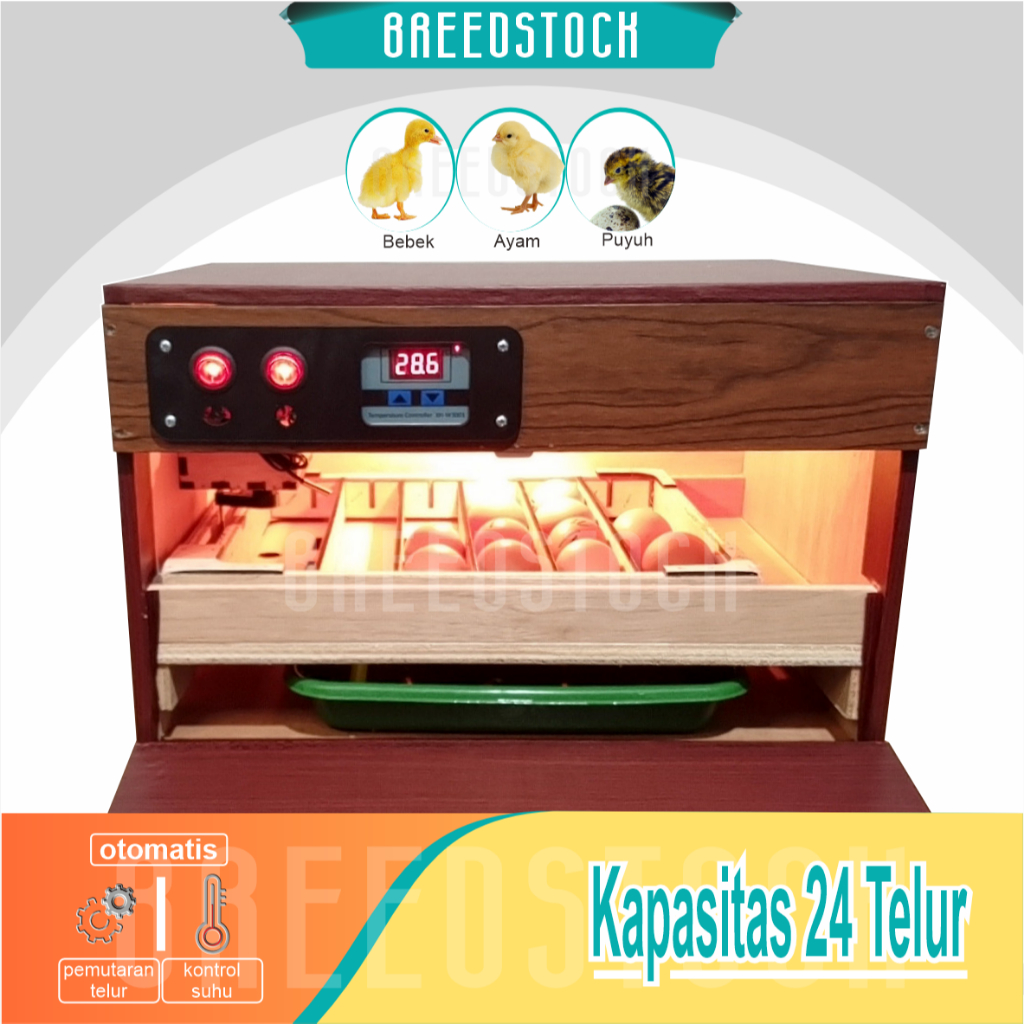 Jual Mesin Penetas Telur Full Otomatis FAM D24 AT Kapasitas 24 - Alat ...