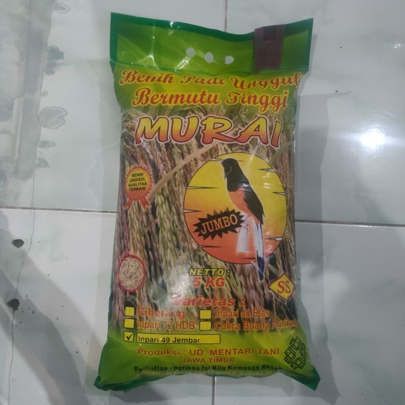 Jual Benih inpari 32 HDB Murai kemasan 5 kg benih padi unggul bermutu tinggi | Shopee Indonesia