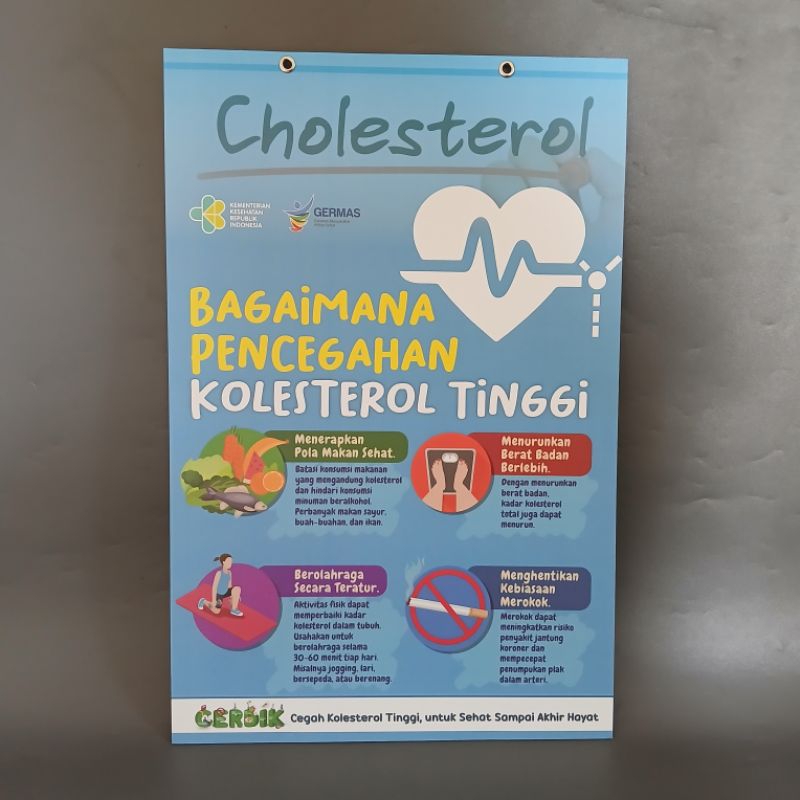 Jual Hard Poster Colesterol - Hard Poster Bagai Mana Pencegahan ...