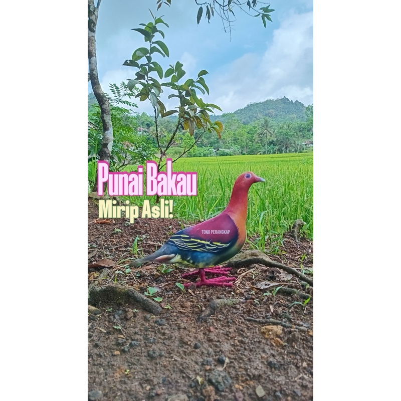 Jual Patung burung punai bakau / Punai Bakaw | Shopee Indonesia