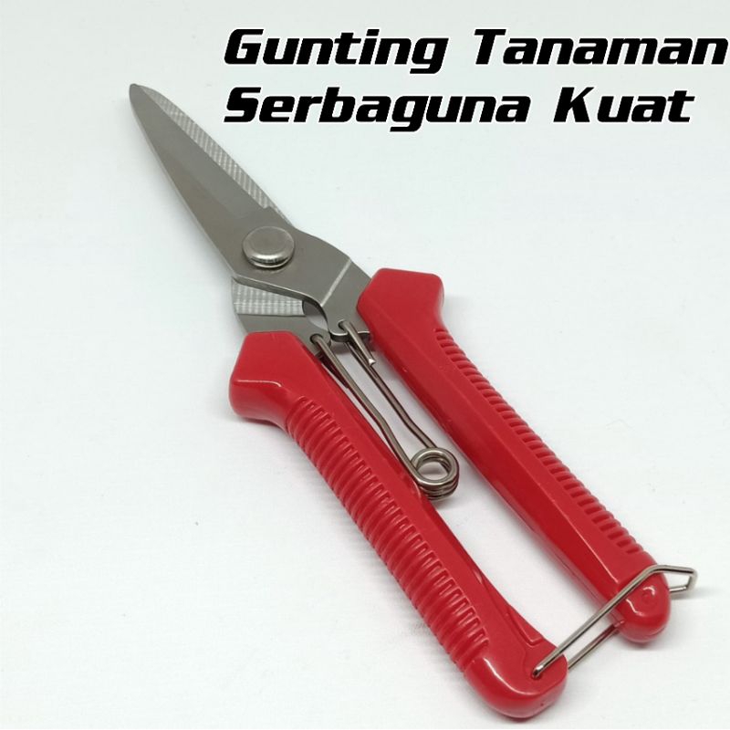 Jual Gunting Dahan Ranting - Gunting tanaman - Gunting bonsai kembang ...