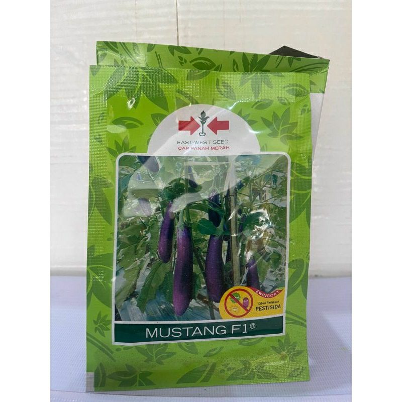 Jual Benih Terong Ungu Mustang Panah Merah 1100 butir | Shopee Indonesia