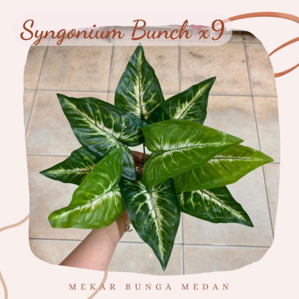 Jual (DS 3) - (Putih Strip) - Daun Group Syngonium Plant x 9 Kepala ...