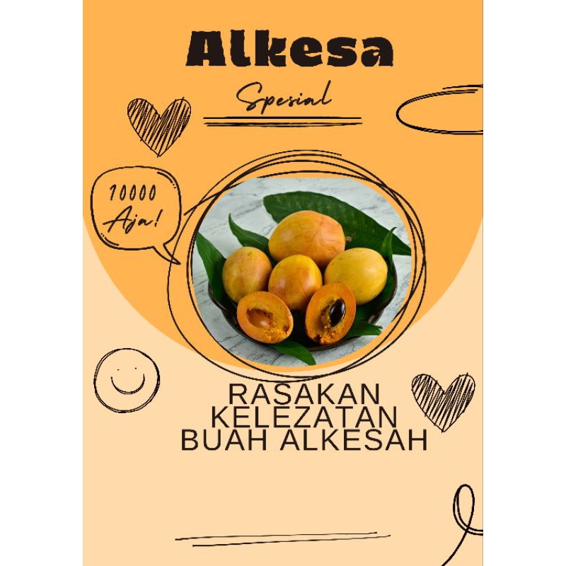 Jual cod 1 kg sawo mentega_buah alkesa sawo mentega belanda campoleh ...