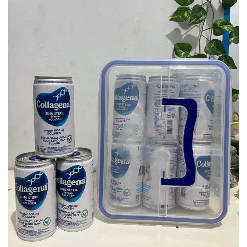 Jual Collagena susu steril 189ml 6 pcs free kontainer box | Shopee ...
