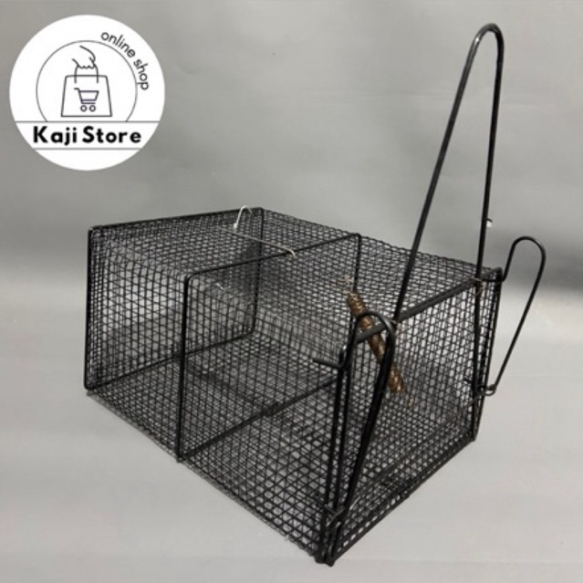 Jual Perangkap Tikus / Jebakan Tikus Hitam | Shopee Indonesia