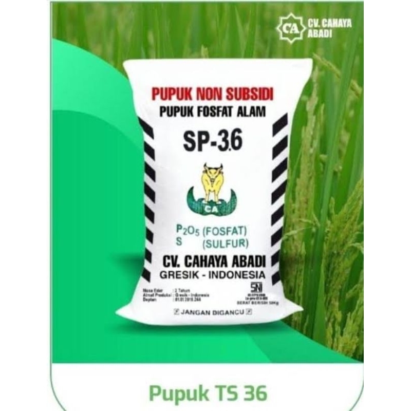 Jual PUPUK TS SP 36 KEMASAN 1 KG | Shopee Indonesia