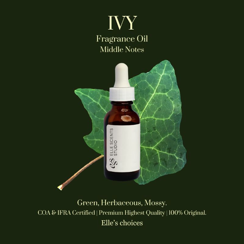 Jual IVY Fragrance Oil | Shopee Indonesia