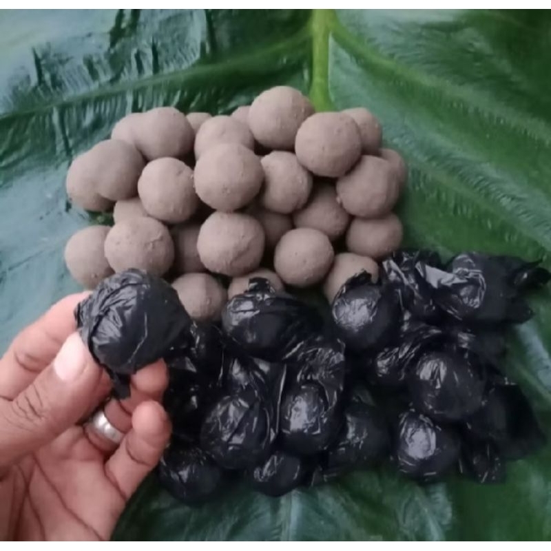 Jual ampo tanah liat/lempung super isi 25 pcs buat luluran kulit ...