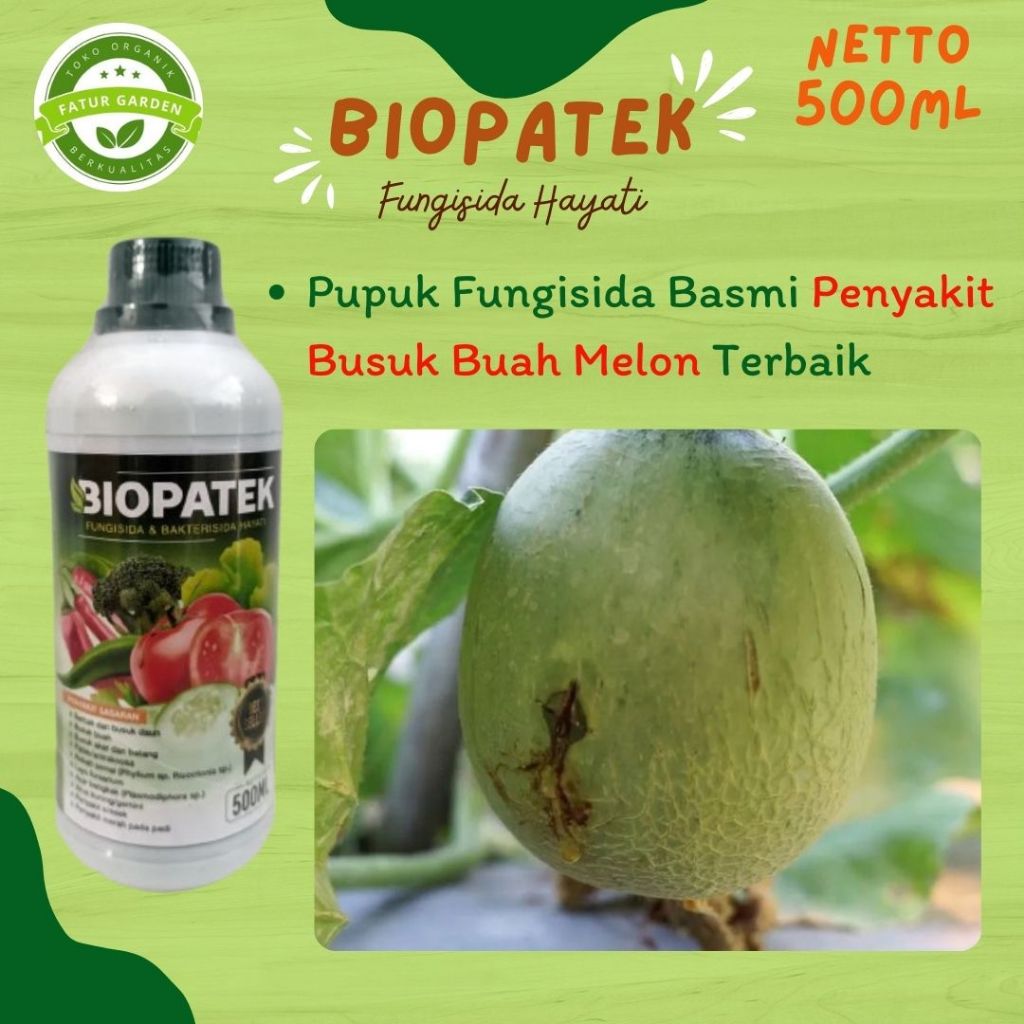 Jual BIOPATEK 500ML Pupuk fungisida busuk buah melon ampuh - Obat basmi ...