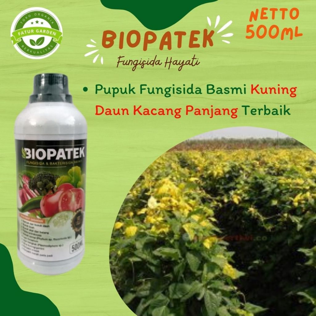 Jual Obat Daun Kuning Kacang Panjang BIOPATEK 500ml Fungisida Atasi Penyakit Kuning Daun Kacang ...