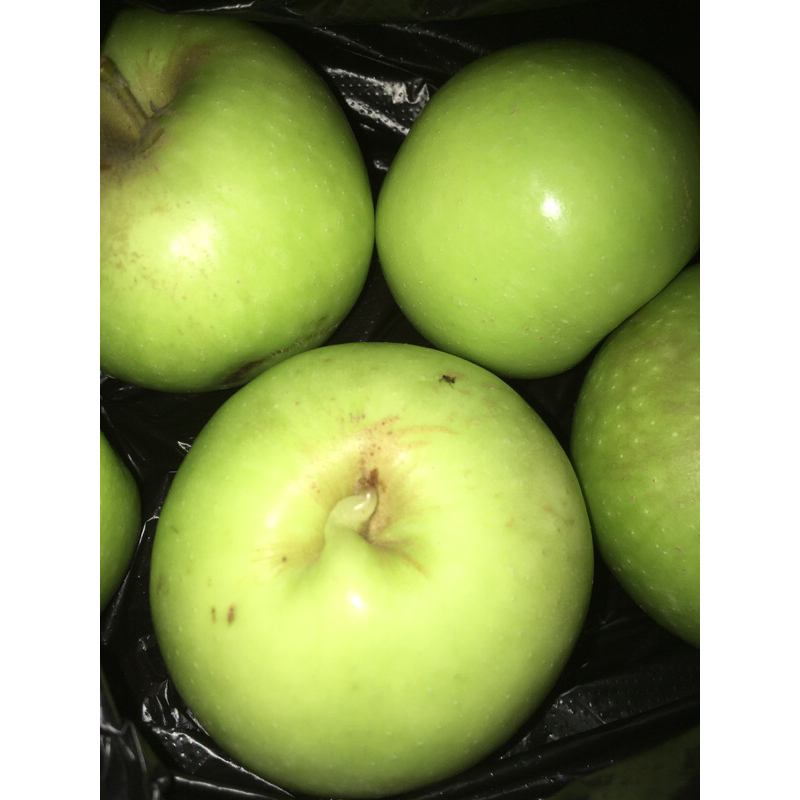 Jual apel manalagi 1 kg isi 9-15 buah | Shopee Indonesia