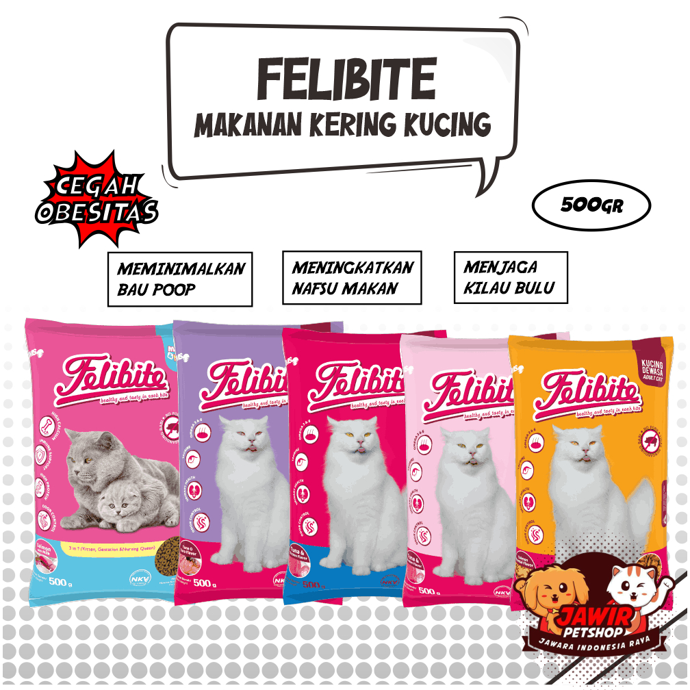 Jual FELIBITE 500gr cat dry food kibble ikan donat makanan kering ...