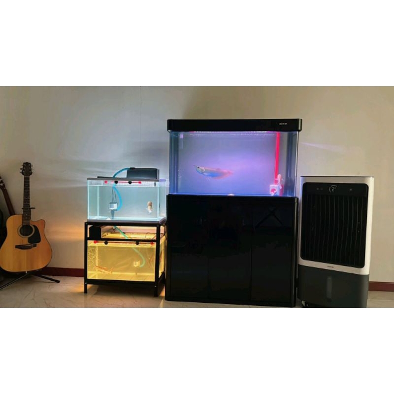 Jual Rak aquarium P60cm L30cm T60cm 2 susun rak susun besi tempat ...