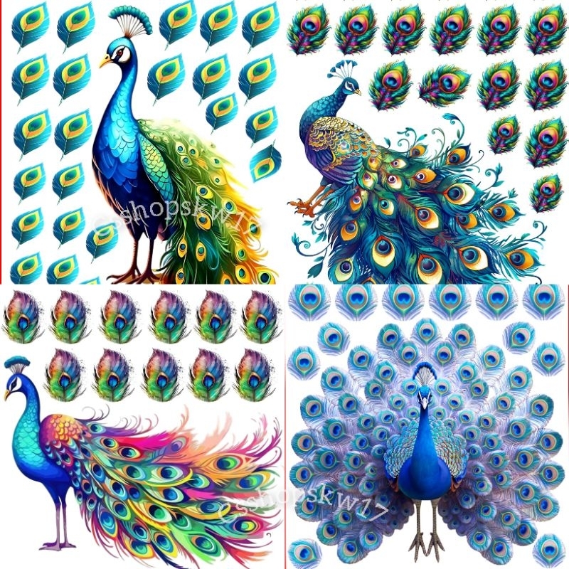 Jual TOPPER MERAK TOPPER BUKET UANG PEACOCK VIRAL | Shopee Indonesia