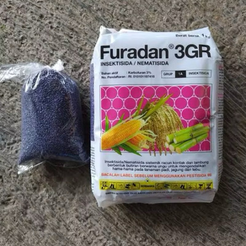 Jual MURAH Furadan 3GR ISi 1 KG / 500gr / 250gr Insekstisida Atau ...