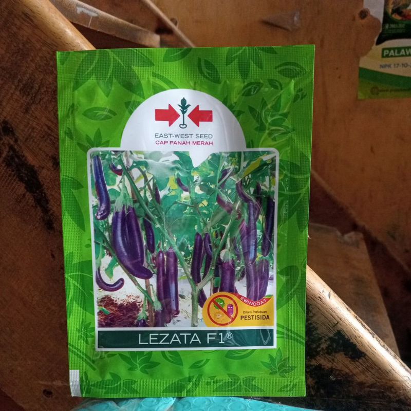 Jual Bibit Terong Unggu Hibrida F1 LAZATA (Isi 1.100 butir) | Shopee ...