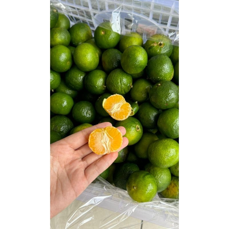 Jual Jeruk Shantang Madu (PACK) | Shopee Indonesia