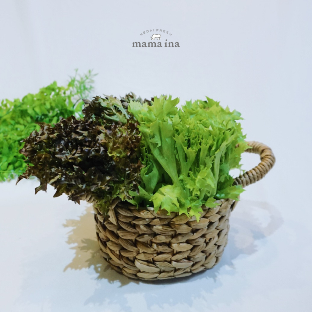 Jual Salanova Mix Fries 200g | Shopee Indonesia