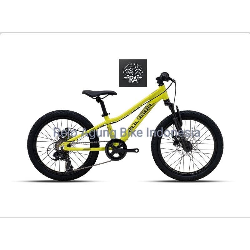 Jual Sepeda anak Polygon Relic 20 | Shopee Indonesia